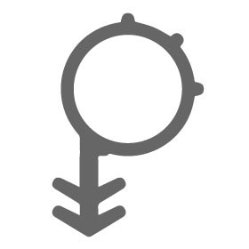 Puituste ja -akende tihendid - Fiskostar OÜ